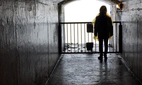 Journey Behind the Falls - Packages, Tours, Attraction Info