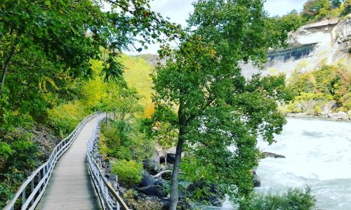 White Water Walk – self-guided walk along white-water rapids