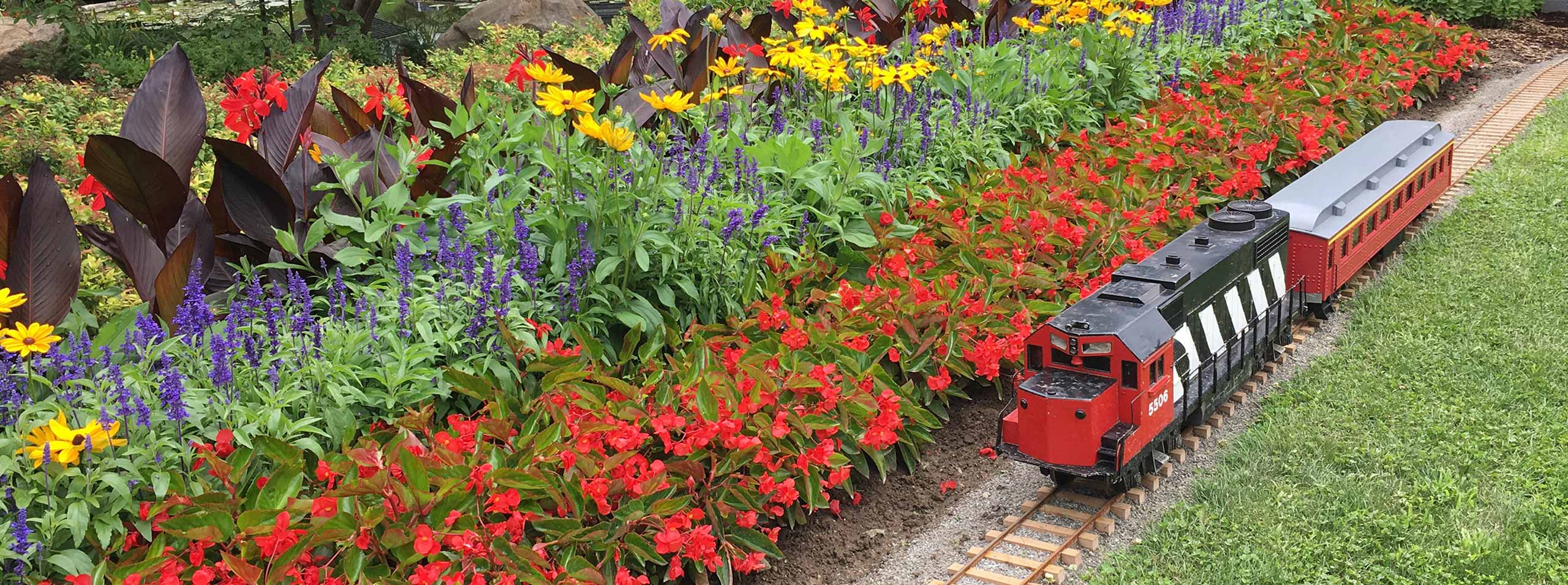 Niagara Parks Launches Life on Display Exhibit | Niagara Parks