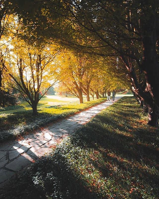 Niagara Parks - Niagara Falls Attractions, Restaurants, Golf & Packages