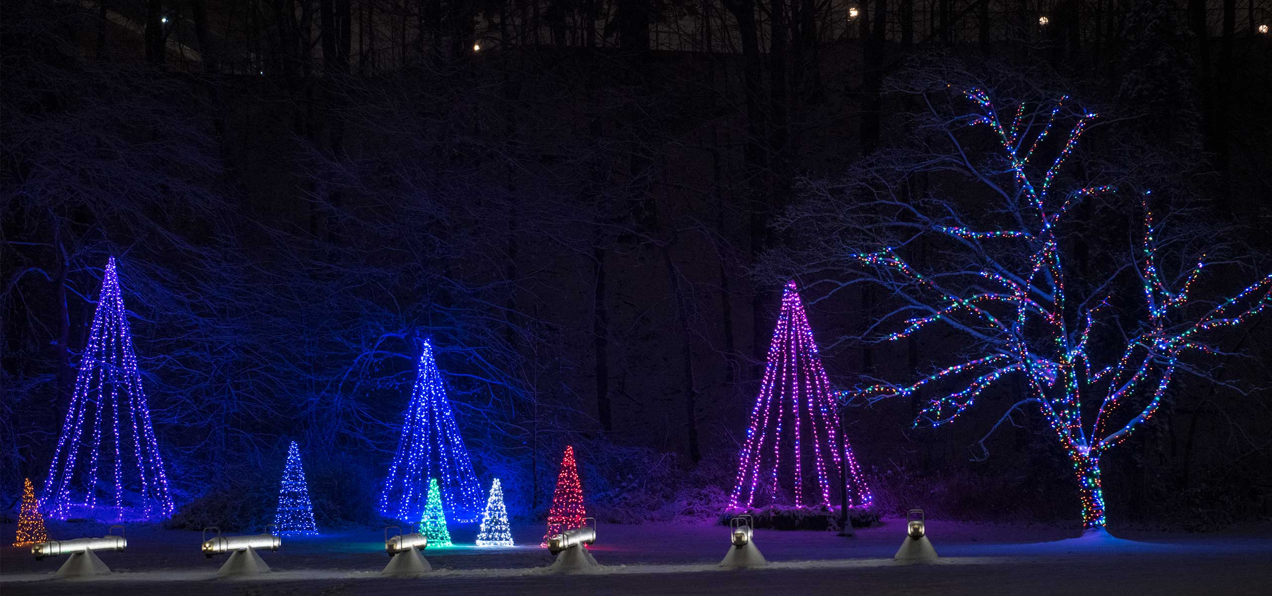 Picture-perfect stops at the Winter Festival of Lights