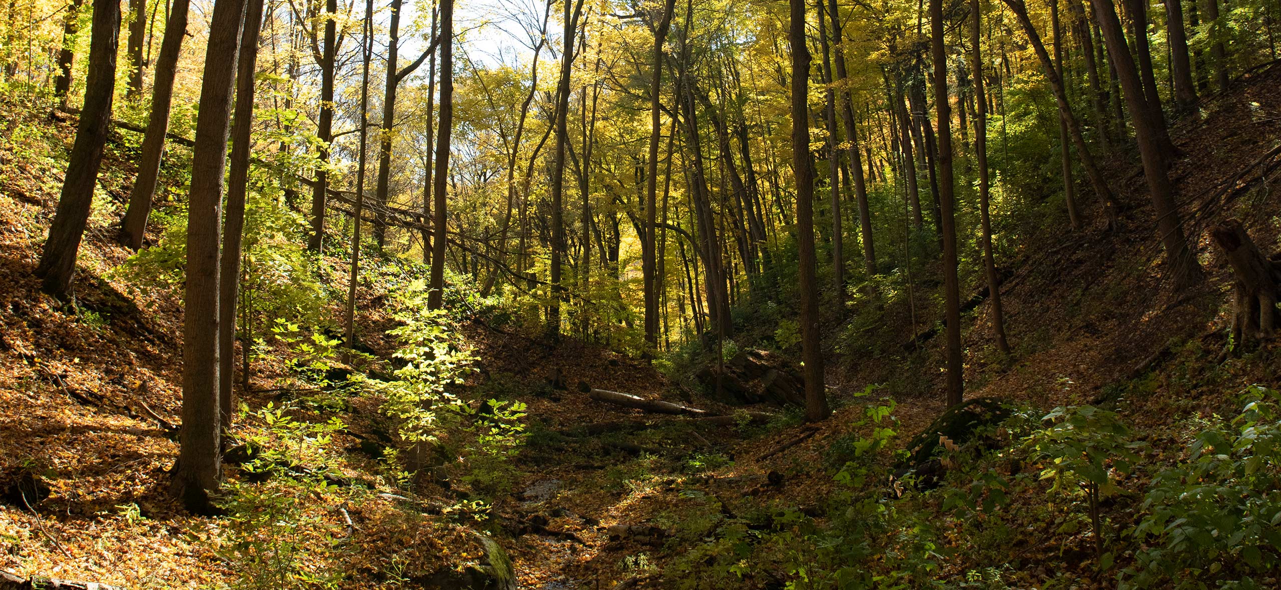Picnic Guidelines | Niagara Parks