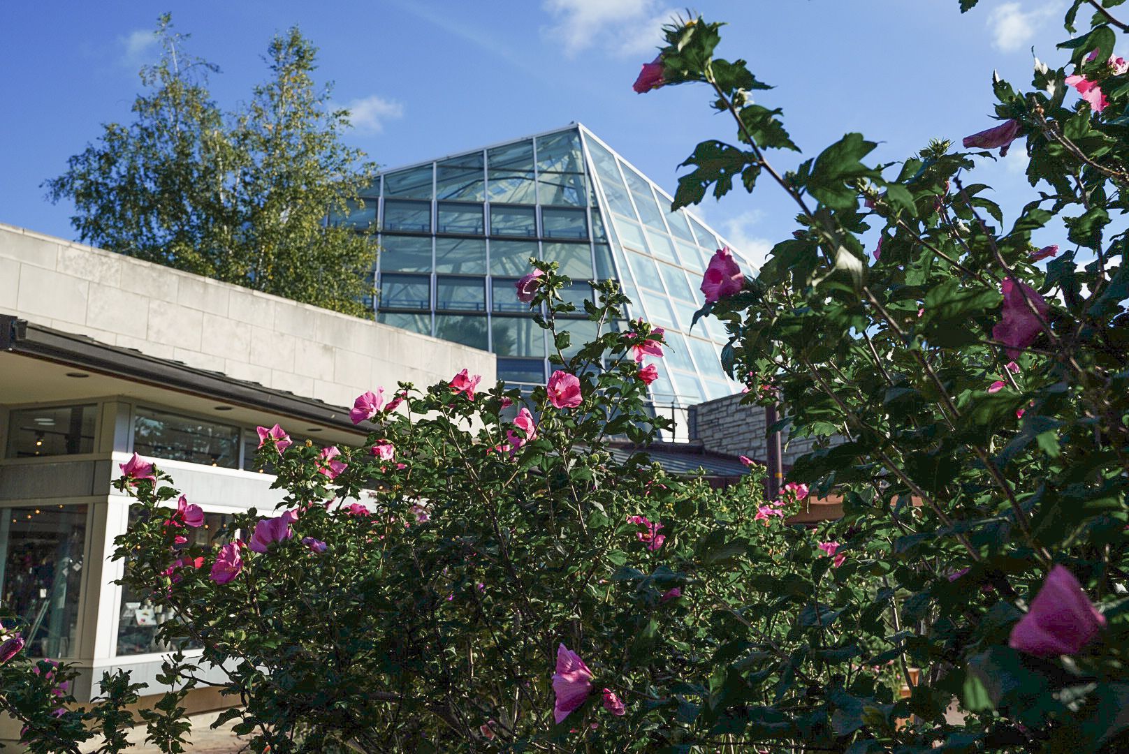 Revitalization of the Niagara Parks Niagara Glen Nature Centre