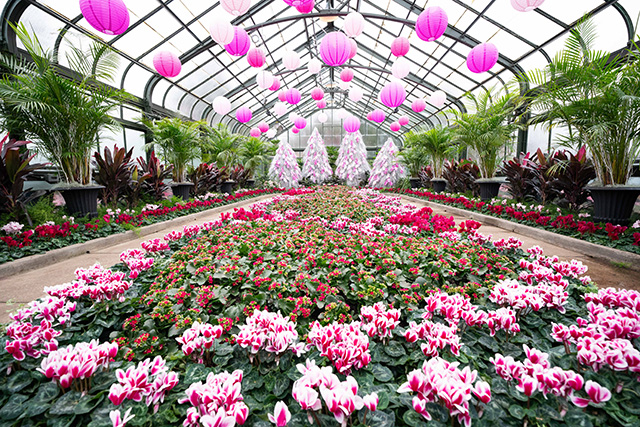 Floral Showhouse